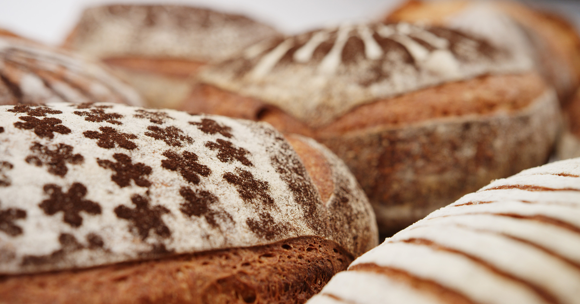 Learn how to bake sourdough bread in this masterclass